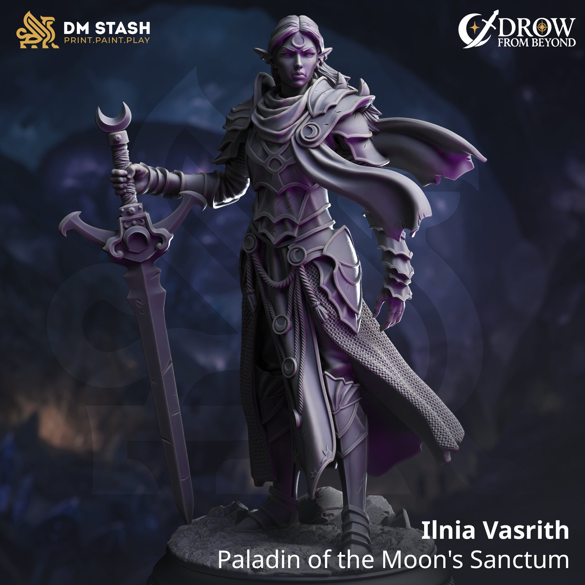 Ilnia Vasrith, Paladin of the Moon's Sanctum (Female Drow Paladin ...